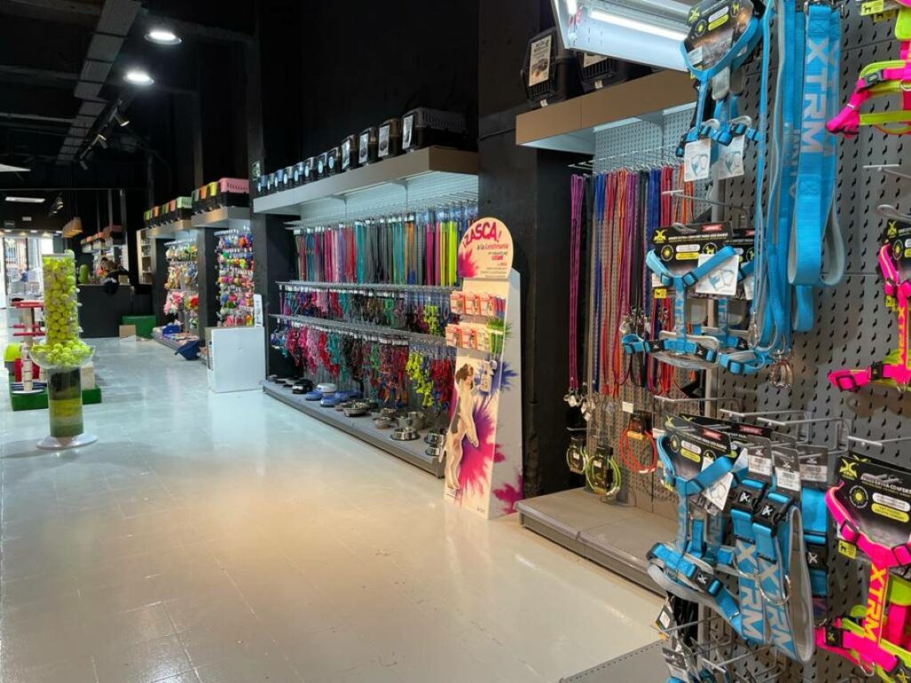 Miscota, nuevo 'naming' de Maskokotas para su expansión internacional