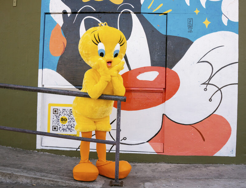 "80 Años de Piolín". La historia del popular personaje en 80 murales de ...